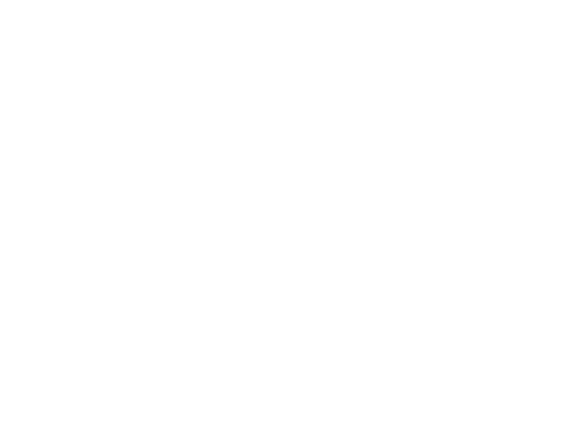 Camino Real Hoteles